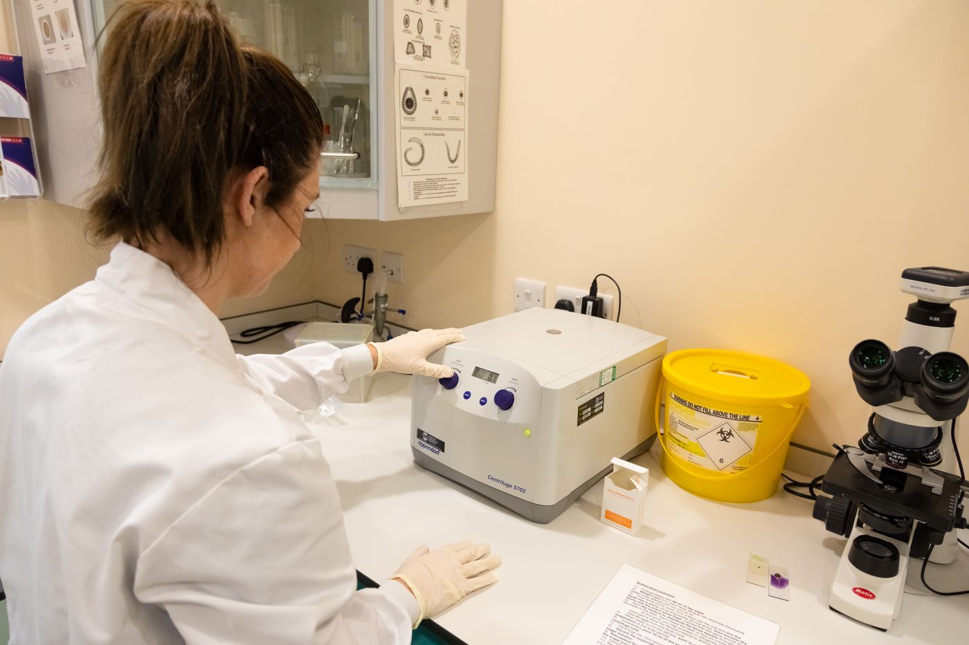 Plasma Processing - Camelid Veterinary Services