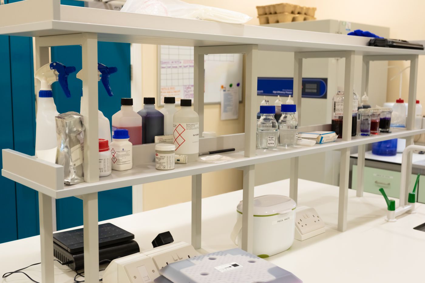 Cria IgG Testing - Camelid Veterinary Services